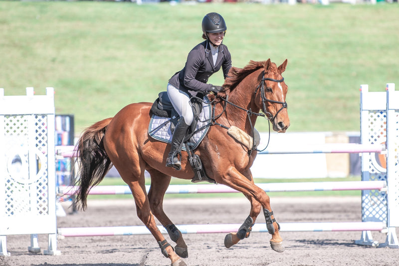 Feeding the Off the Track Thoroughbred OTT – Missy's Bucket